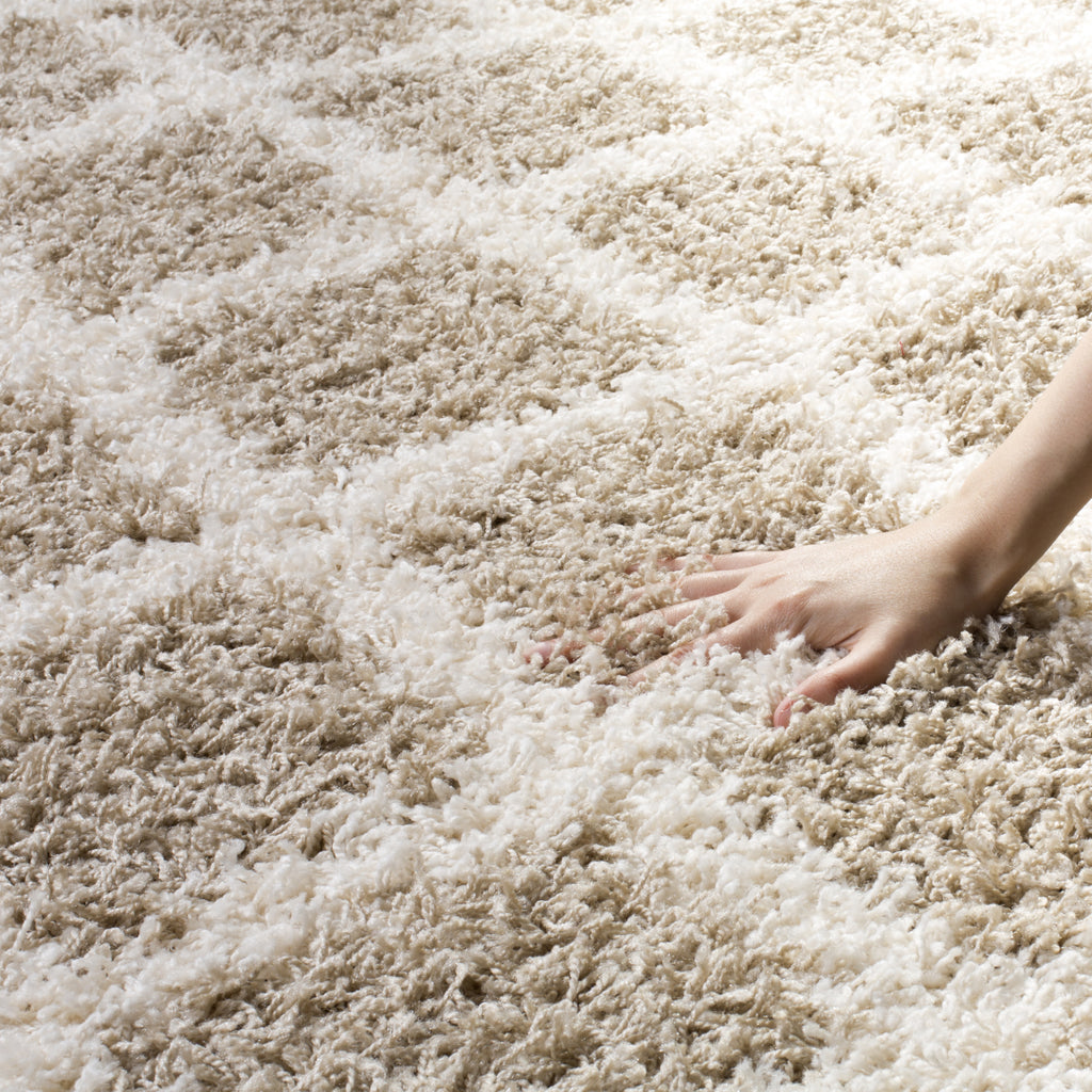 Safavieh Dallas Shag SGD258D Beige/Ivory Area Rug – Incredible Rugs and ...