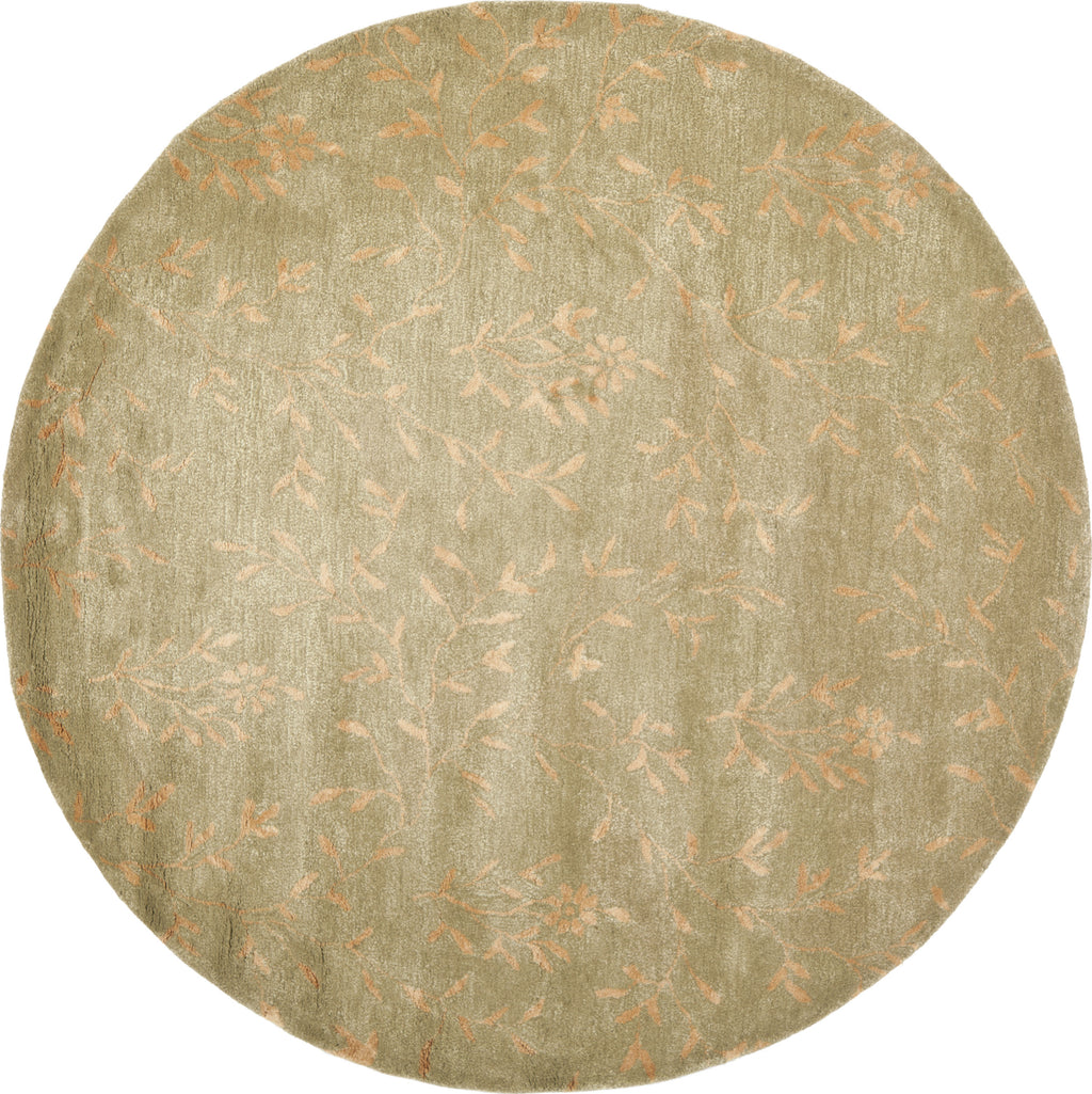 Safavieh Soho Soh418 Sage/Rust Area Rug – Incredible Rugs and Decor