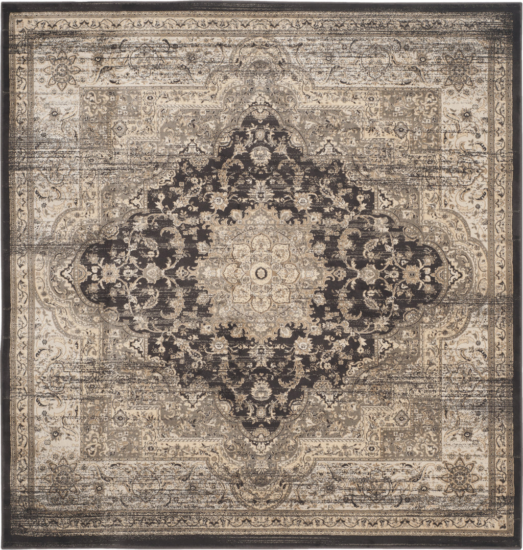 Safavieh Vintage VTG574F Black/Ivory Area Rug – Incredible Rugs and Decor