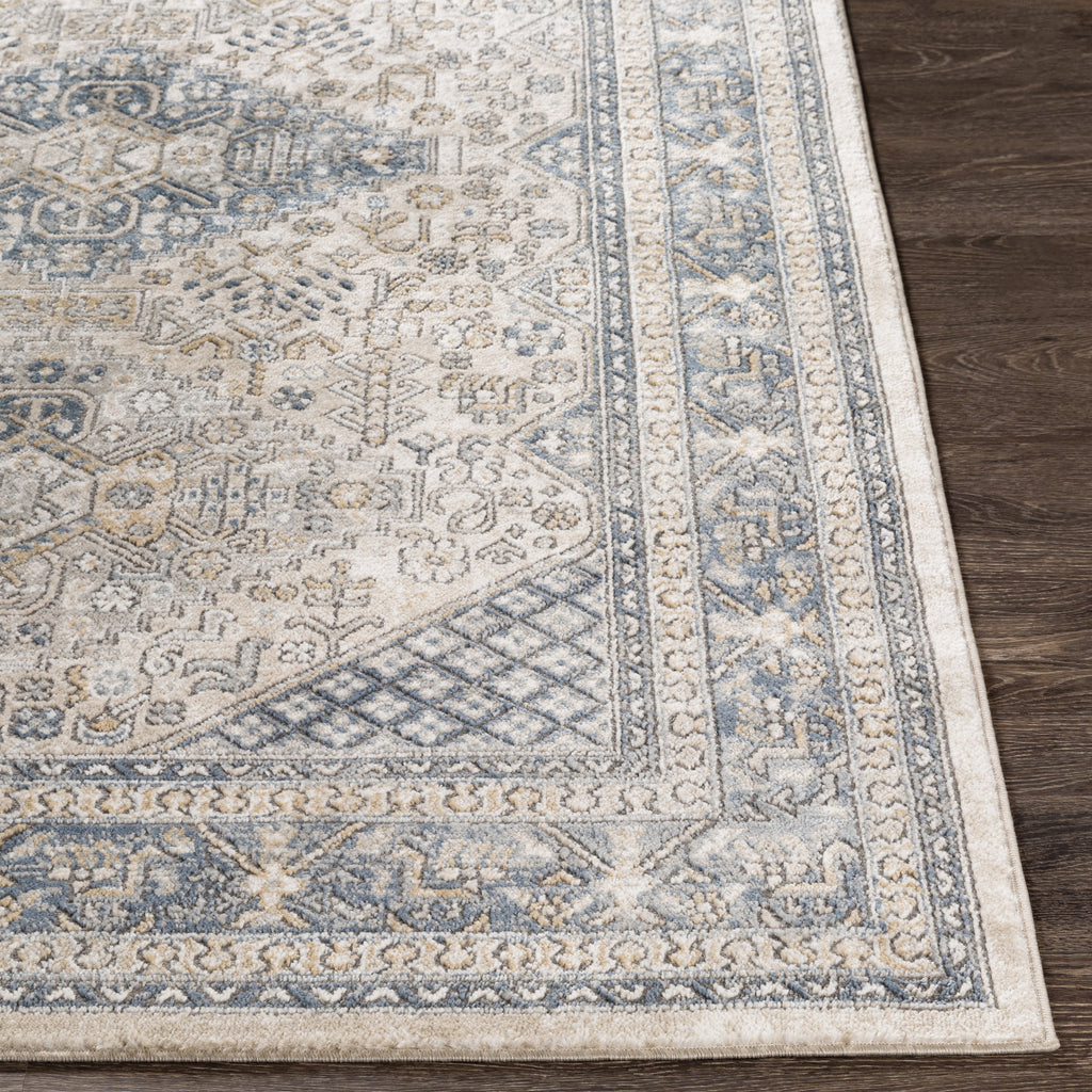 Surya Seattle STA-2312 Area Rug – Incredible Rugs and Decor