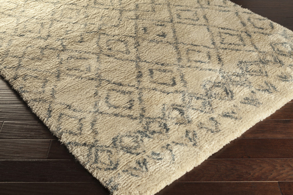 Surya Tasman TAS-4501 Area Rug – Incredible Rugs and Decor