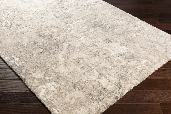 LIVABLISS Tuscany TUS-2304 Area Rug – Incredible Rugs and Decor
