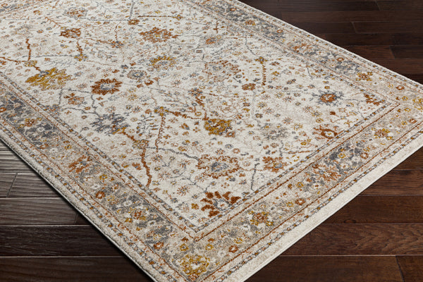 Surya Tuscany TUS-2329 Area Rug – Incredible Rugs and Decor