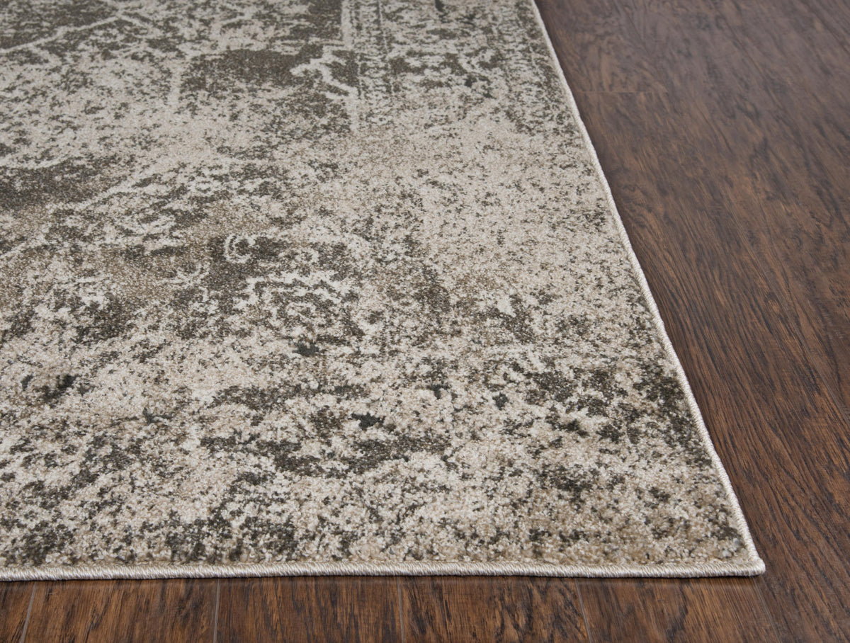 Rizzy Valencia VCA101 Beige Area Rug – Incredible Rugs and Decor