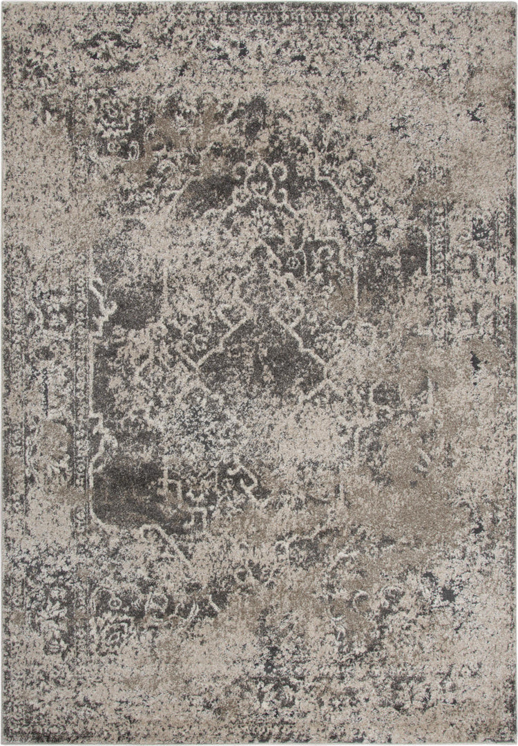 Rizzy Valencia VCA101 Beige Area Rug – Incredible Rugs and Decor