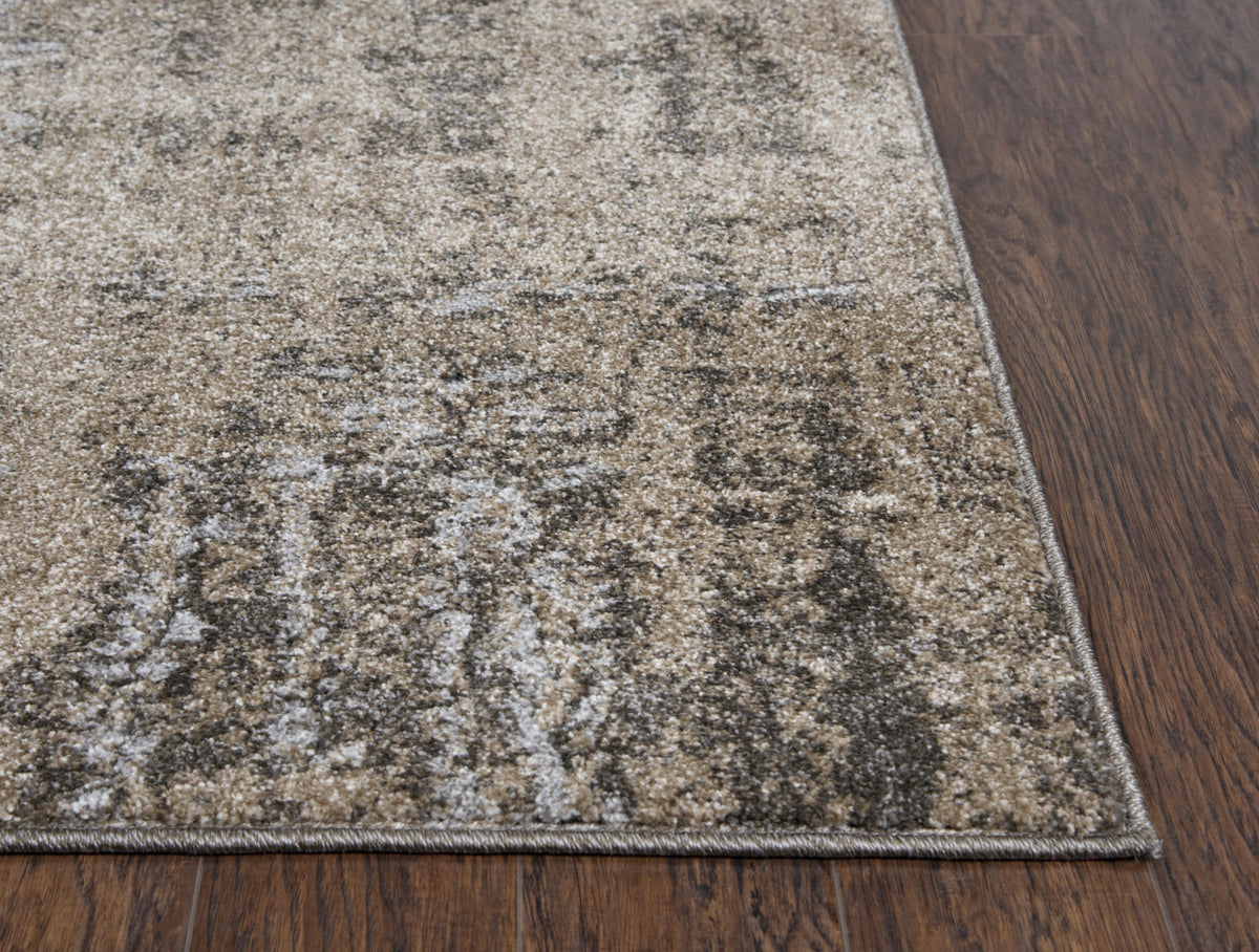 Rizzy Valencia VCA107 Beige Area Rug – Incredible Rugs and Decor