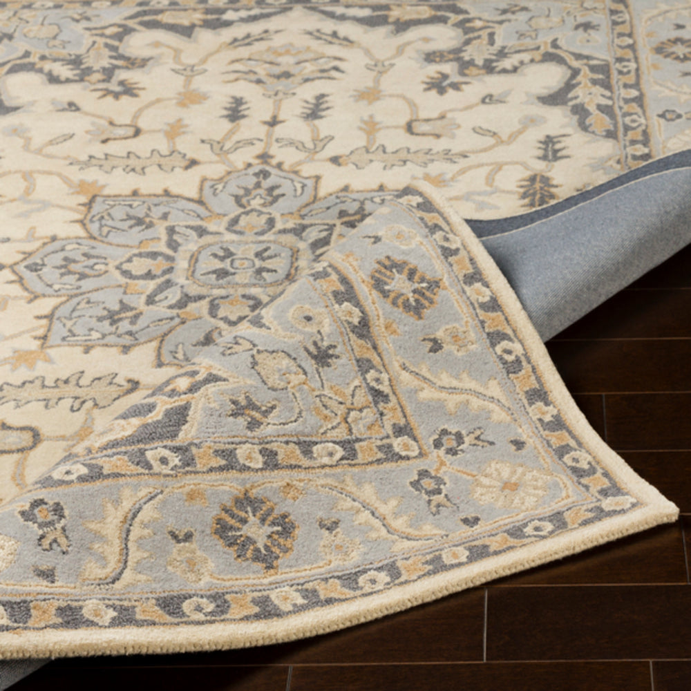 Surya Viva VVA-1003 Area Rug – Incredible Rugs and Decor